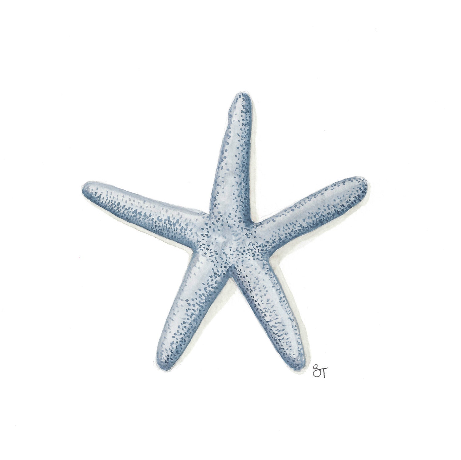 Blue Starfish Drawing