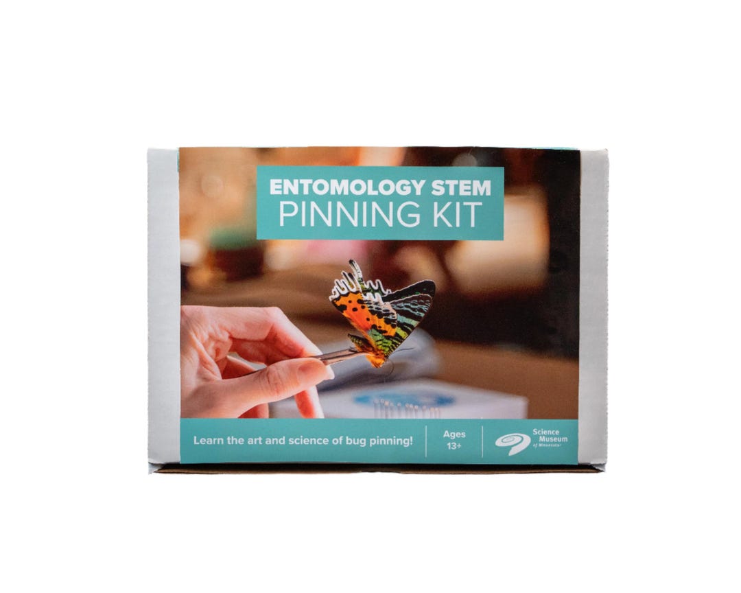 Entomology STEM Pinning Science Kit - Etsy