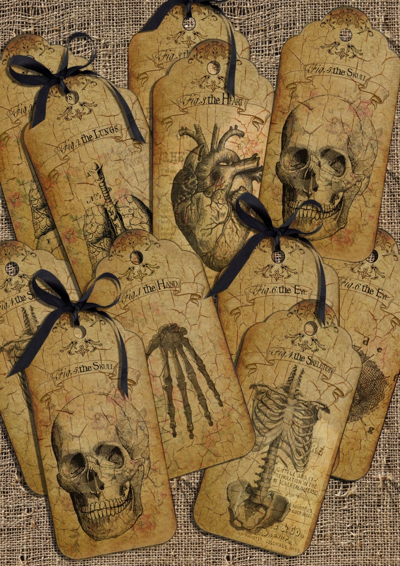 Vintage Anatomy Tags/labels Digital Collage Sheet. DIGITAL DOWNLOAD - Etsy