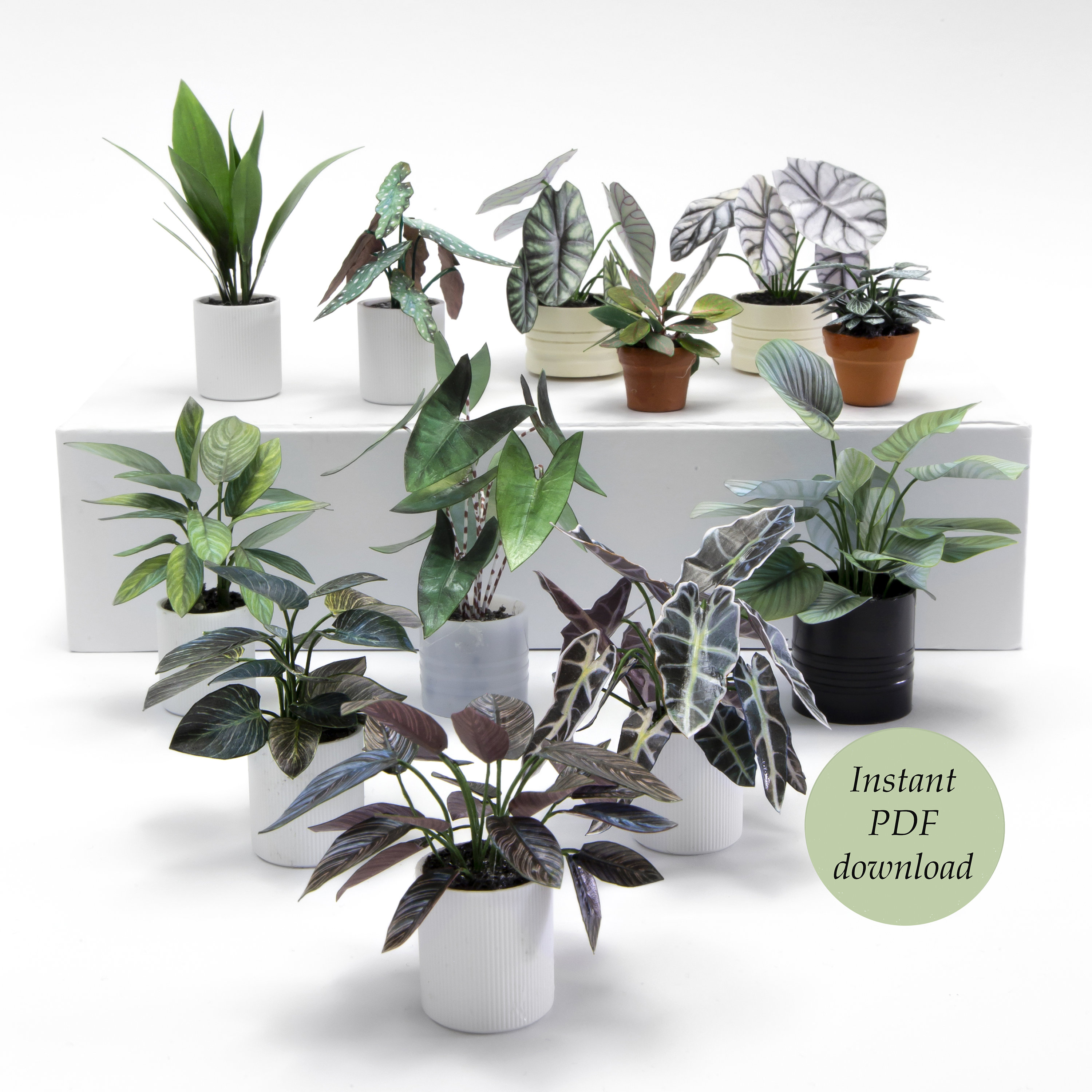 Miniature Paper Houseplants DIY (set 4) - 1:12 Dollhouse Plants - PDF ...