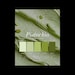 Pistachio Color Palette Poster, 16" X 20" Colorful Theme Print ...