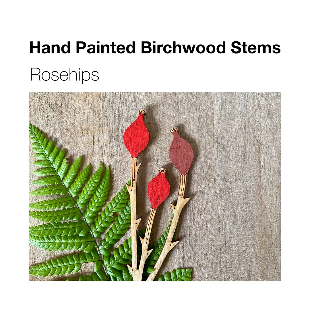 Wooden Flowers A Hand Painted Birchwood Rosehip Stem - Etsy