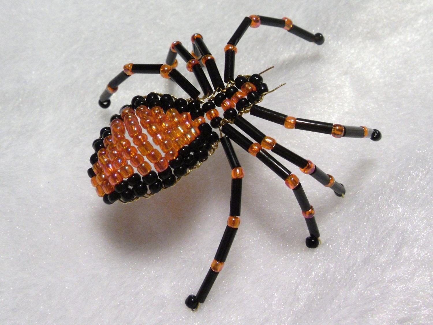 Orange Back Spider
