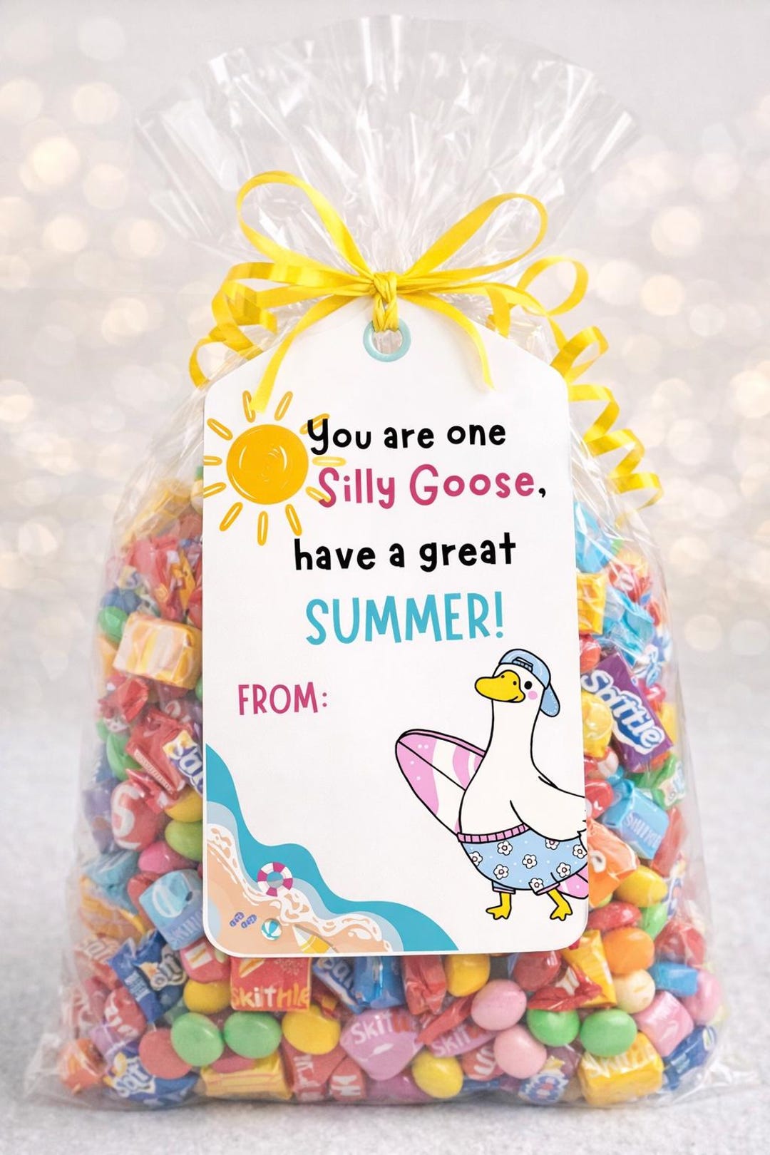 Silly Goose End of School Year Tags Bundle Printable Last Day of School ...
