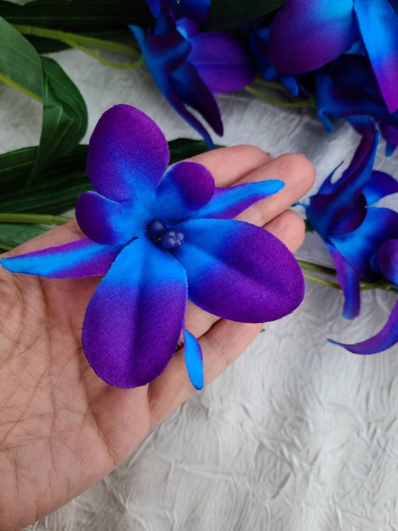 Blue Orchid Flower Images