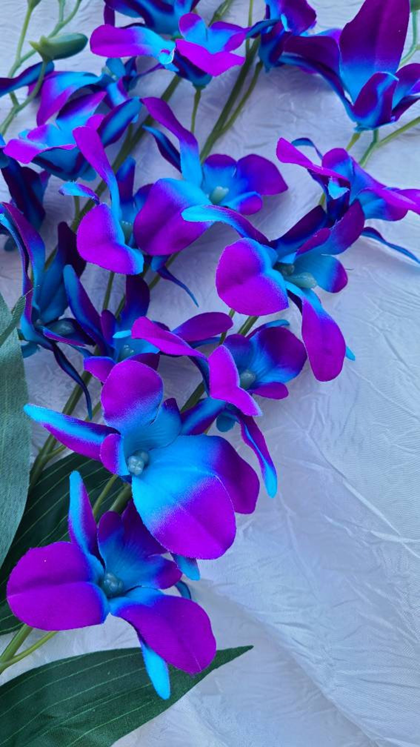 Fuchsia and turquoise galaxy orchid BLOOMS heads blue | Etsy