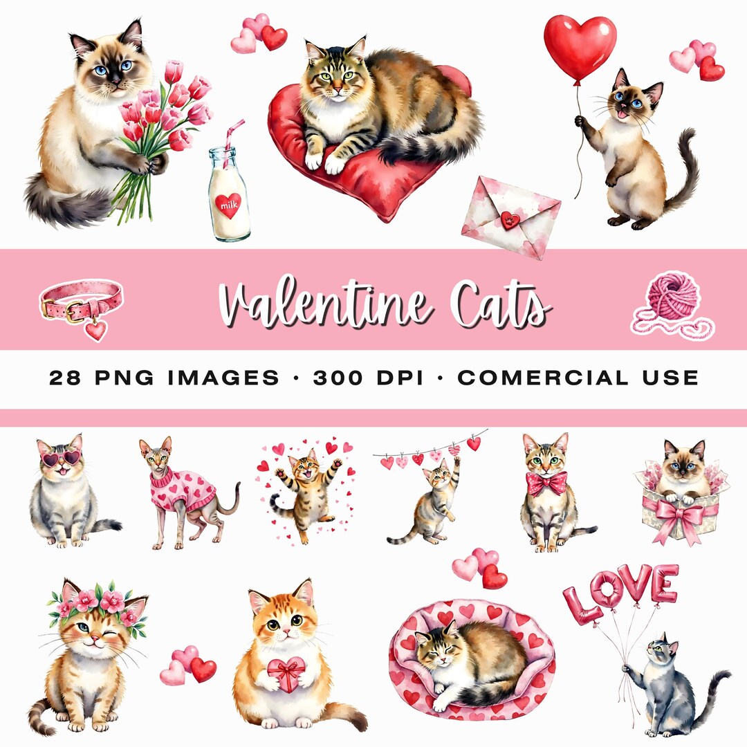 Valentine Cat Clipart Bundle: Watercolor PNG Set - Etsy