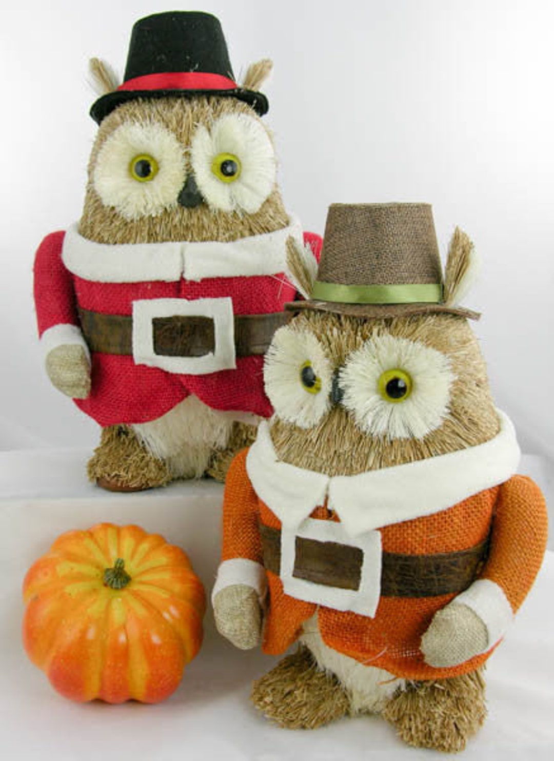 Pilgrim Owl, Thanksgiving Home Decor, Owl With Pilgrim Hat - Etsy