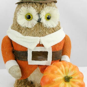 Pilgrim Owl, Thanksgiving Home Decor, Owl With Pilgrim Hat - Etsy