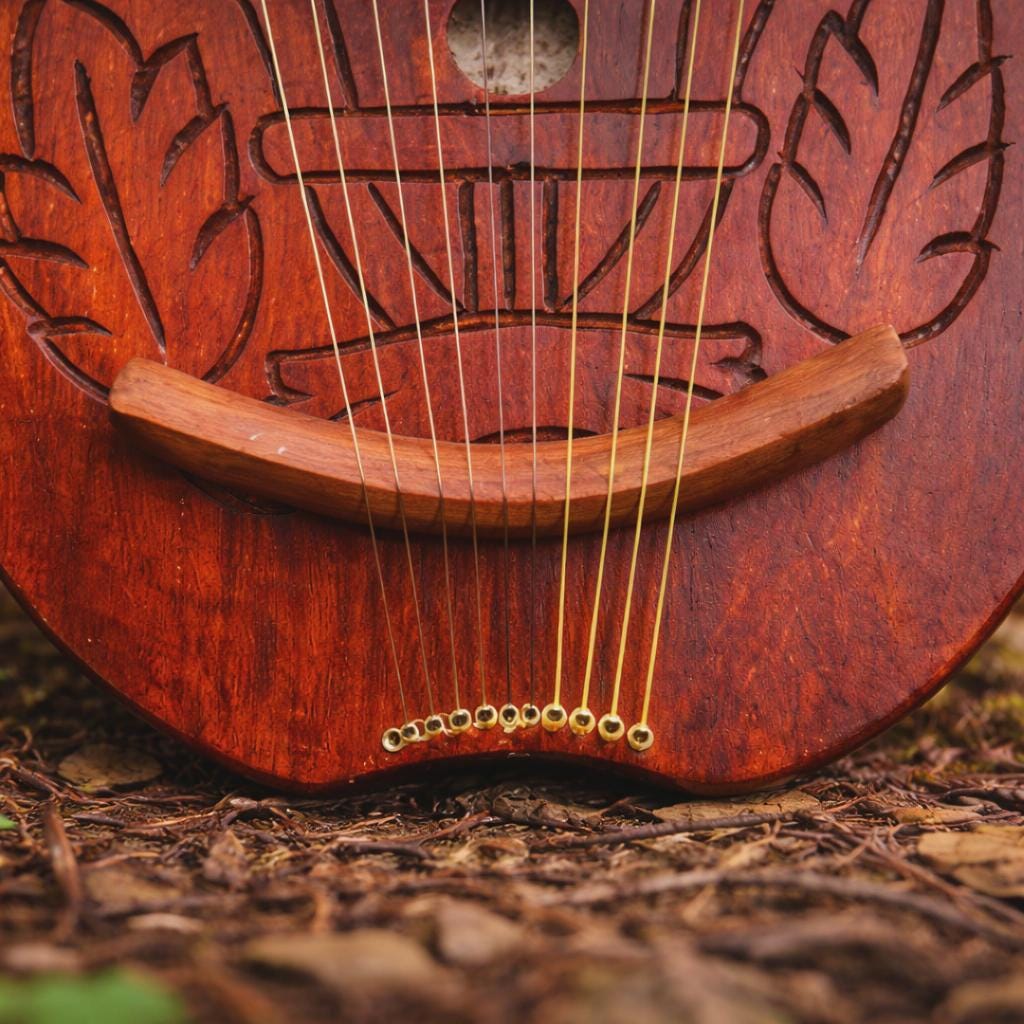Hand-carved Rosewood 10-string Lyre Harp With Carry Bag - Etsy