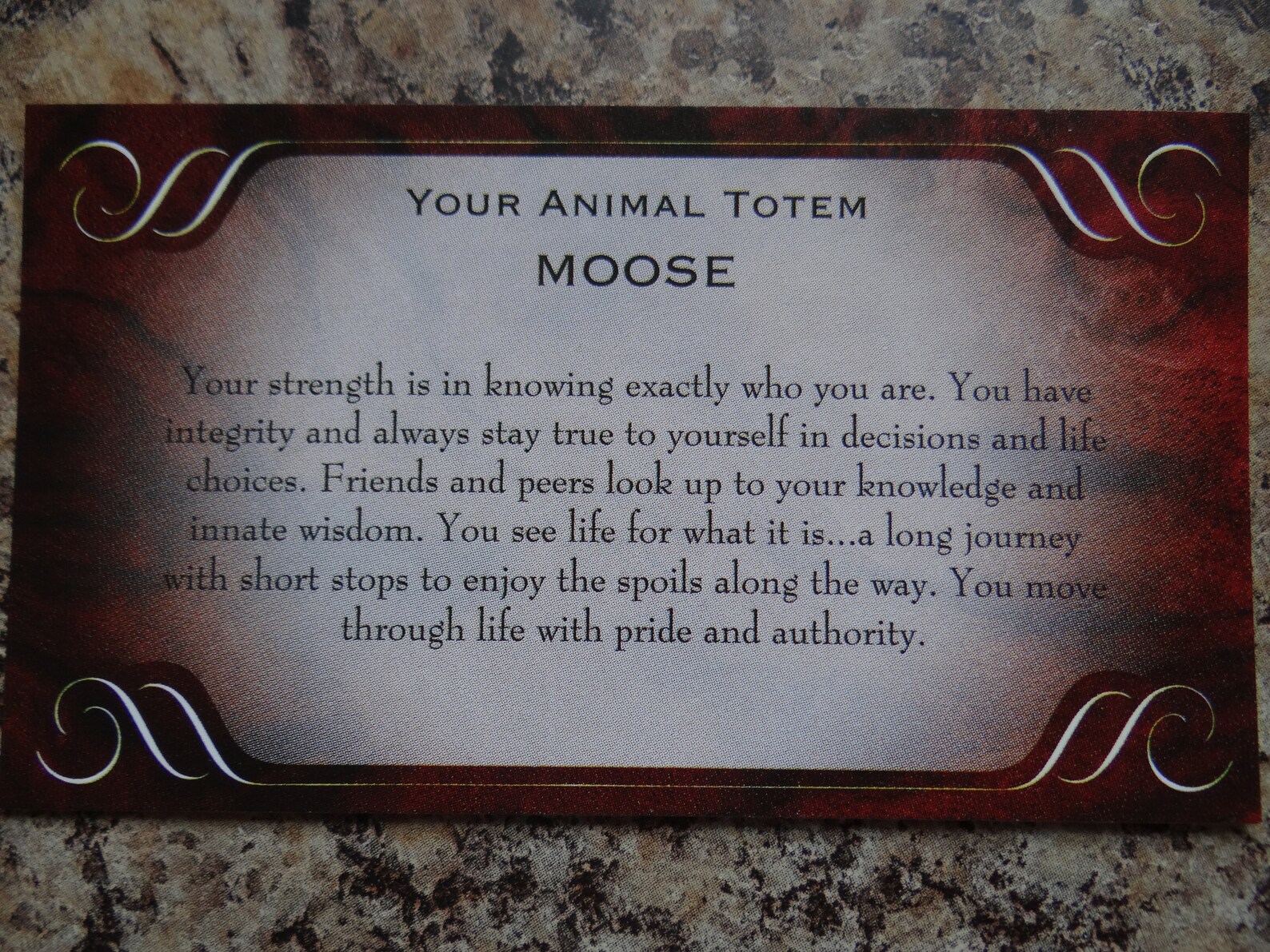 Hand Carved MOOSE Animal Spirit Totem for Spiritual Jewelry - Etsy