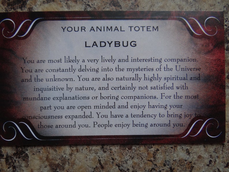 Hand Carved LADYBUG Animal Spirit Totem for Spiritual - Etsy