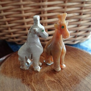 Hand Carved GIRAFFE Animal Spirit Totem for Spiritual Jewelry or Crafts ...