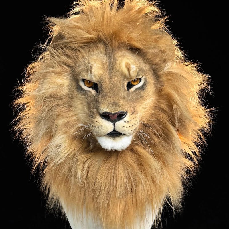 Wearable Realistic Masks - Etsy