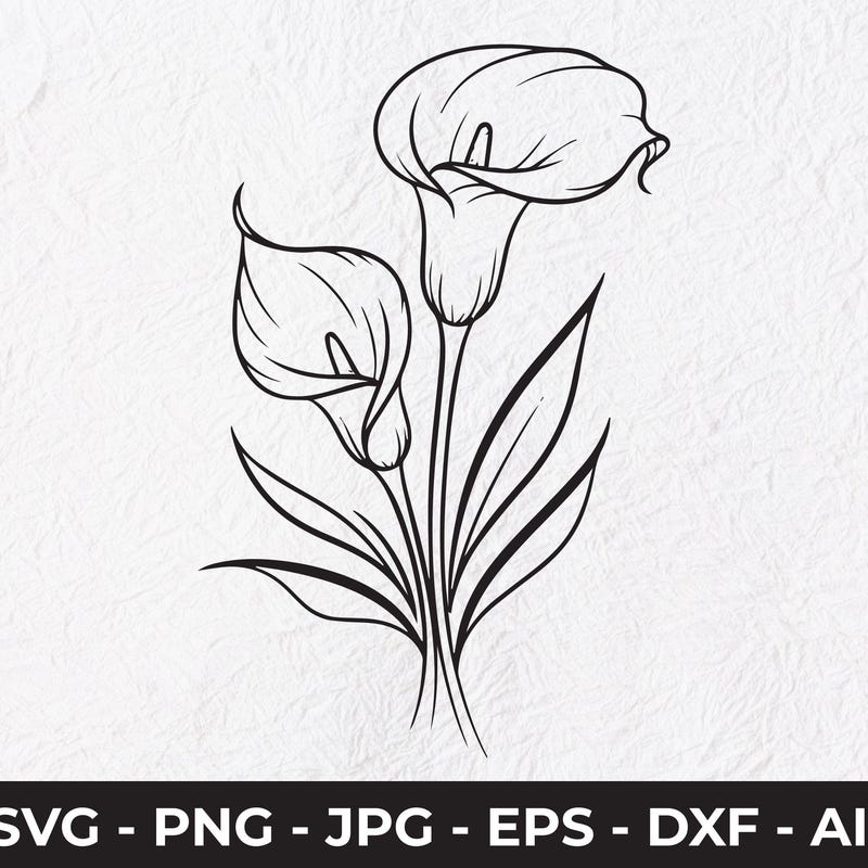 Calla Lily Line Drawing - Etsy