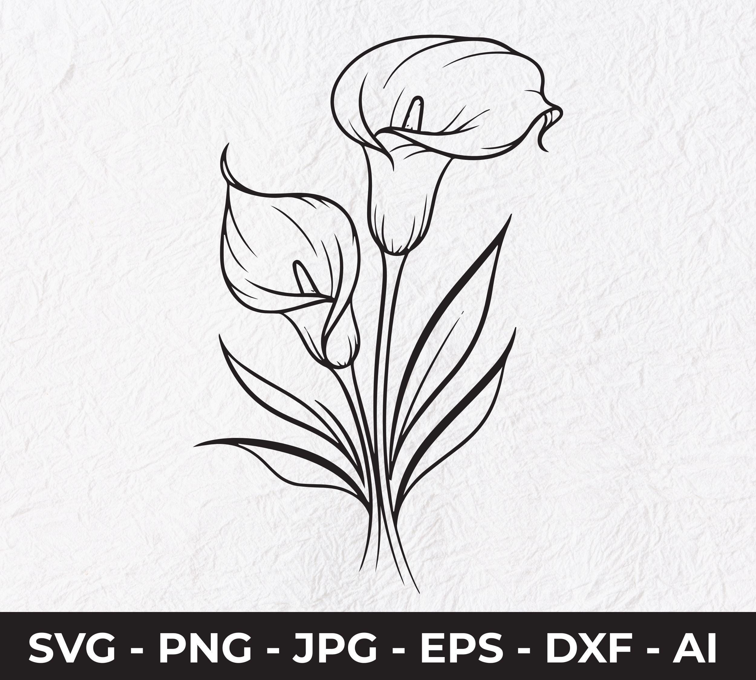 Calla Lily SVG Line Art, Floral Silhouette Cut File, Minimal Flower ...