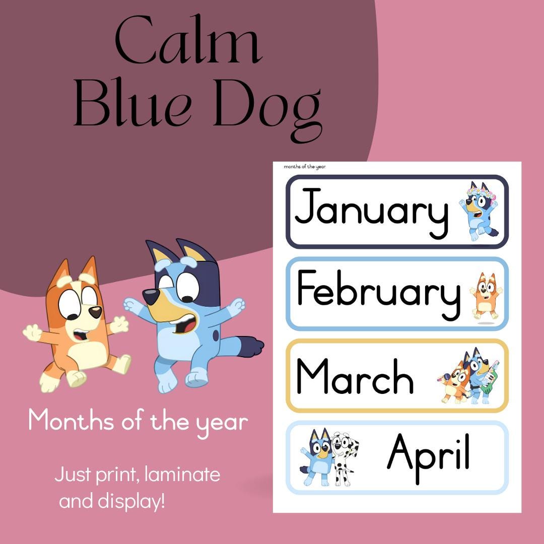 Months of the Year Poster | Bluey Classroom Decor | Foundation Phase ...