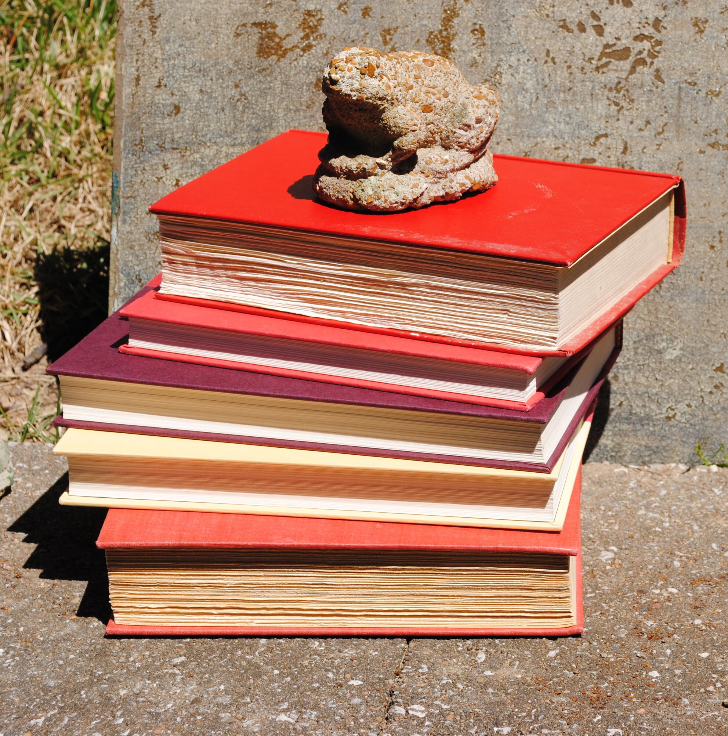 Red colored books Assorted old decor books Shades of red | Etsy