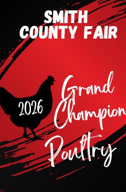 County Fair Livestock & Animal Banners - Editable Canva Template (3' X ...