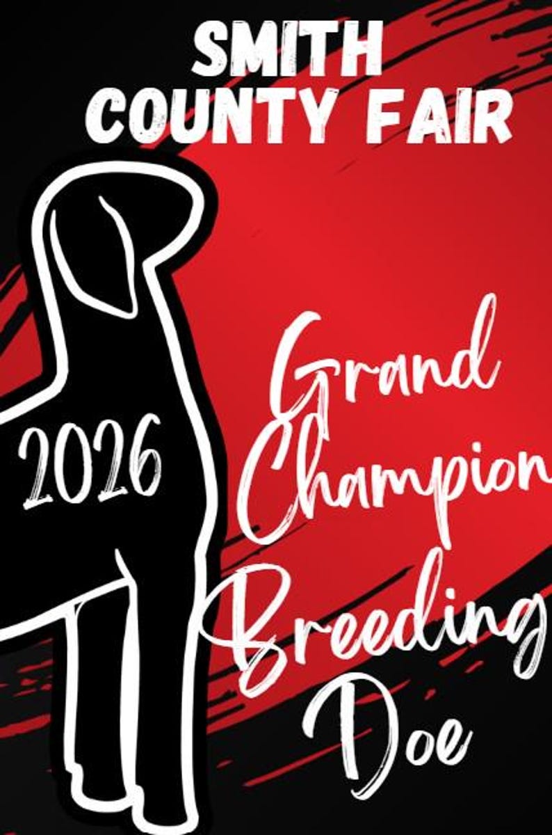 County Fair Livestock & Animal Banners - Editable Canva Template (3' X ...