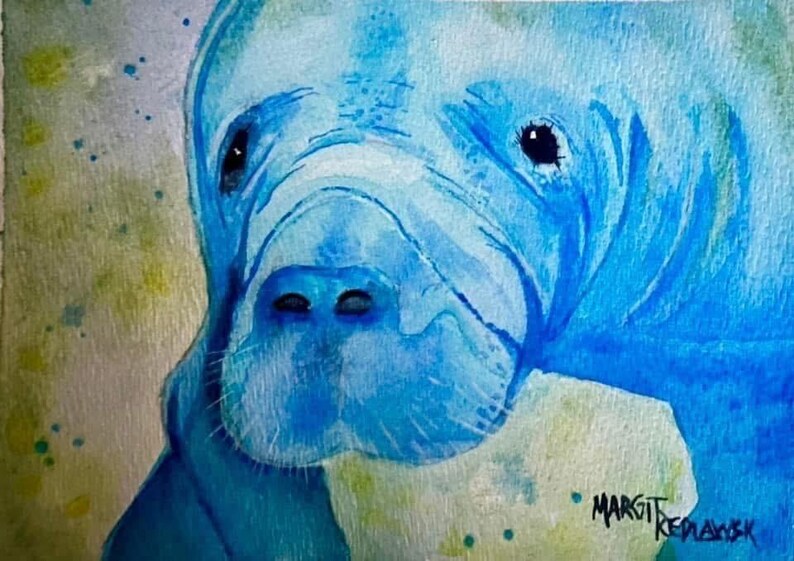Original Watercolor Painting: Manatee 5x7 - Etsy