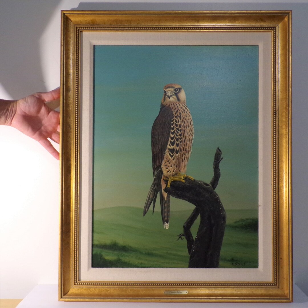 Original Oil Painting. Banner Falcon Design. 18 X 24. Signed - Etsy