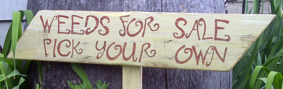 Garden Sign on Reclaimed Wood Handpainted 'weeds for Sale | Etsy