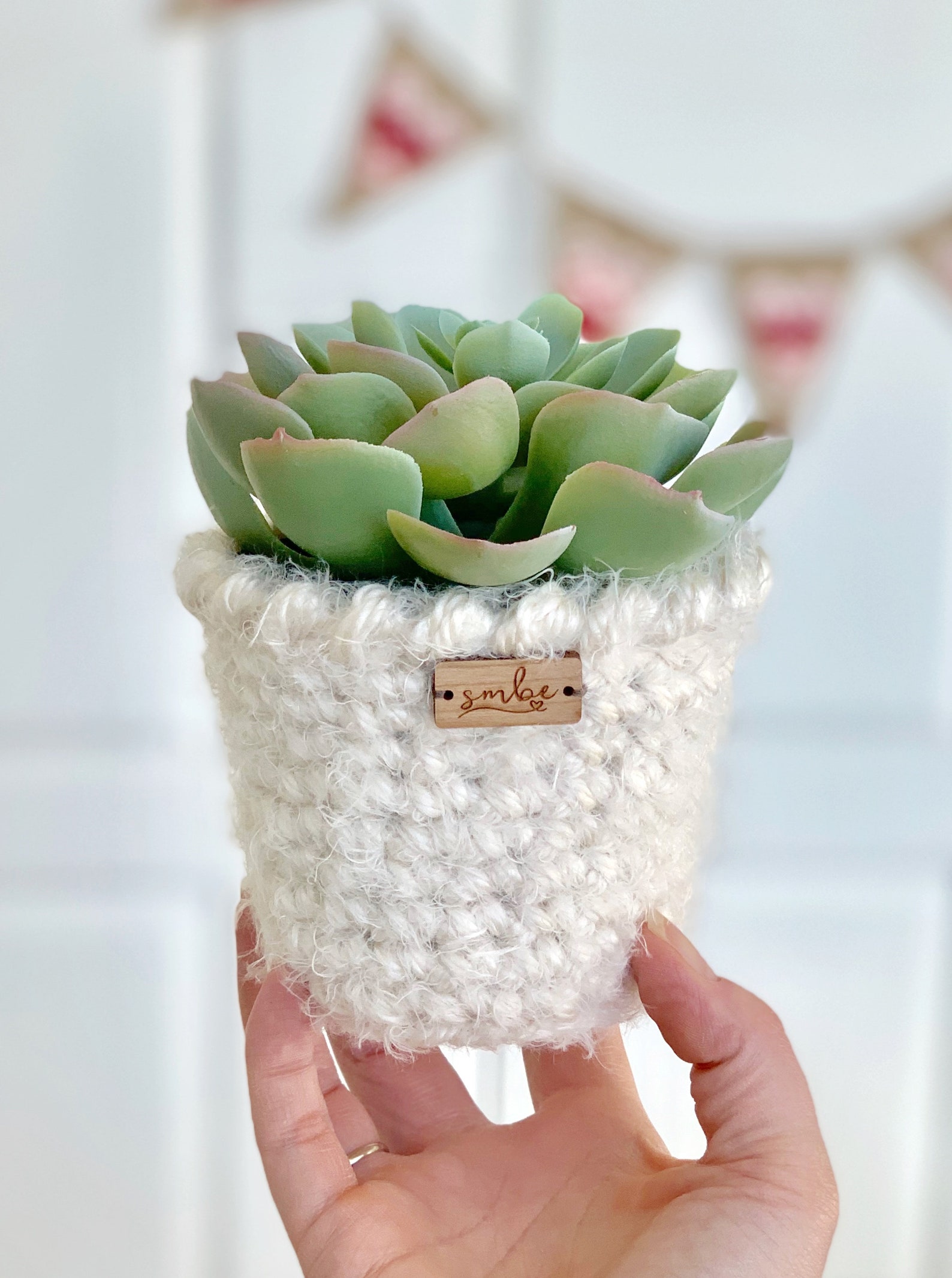 DIY Crochet Pattern / Crochet Planter Pattern / Planter | Etsy