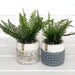 Crochet Planter Pattern DIY Crochet Pattern Chunky Planter - Etsy UK