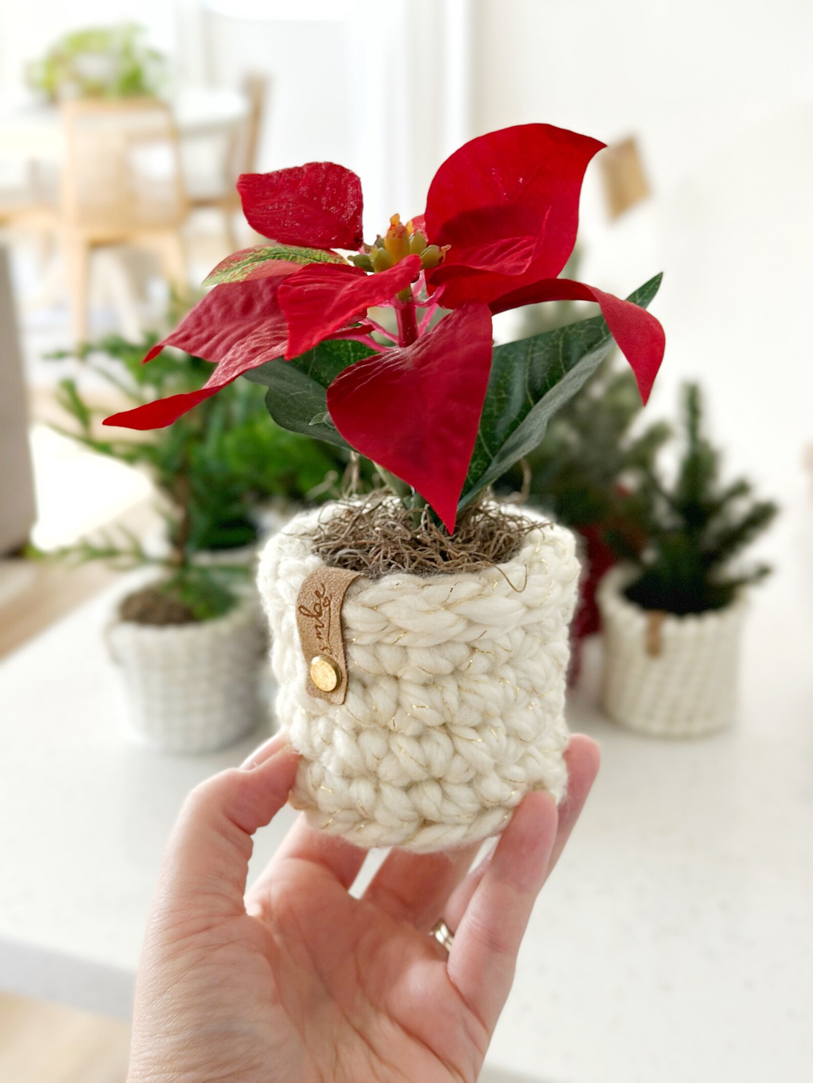 Crochet Planter Pattern DIY Crochet Pattern Chunky Planter - Etsy UK