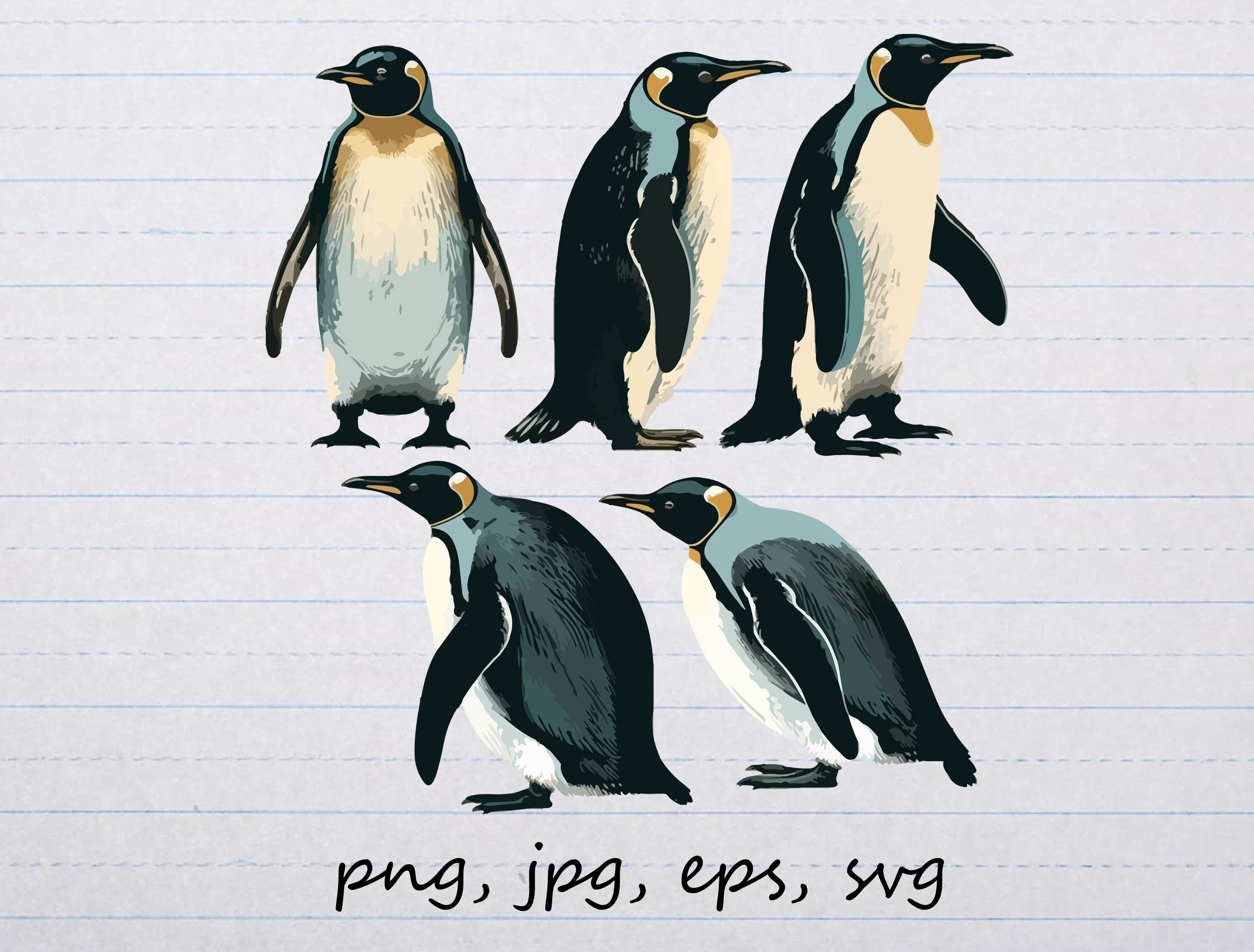 Penguins Clipart Vector Graphic Svg Png Jpg Eps Penguin Bird - Etsy Canada