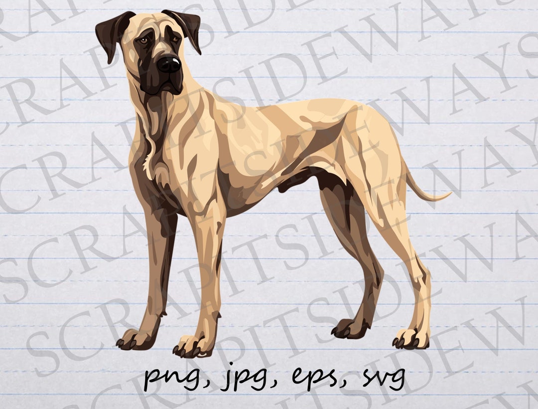 Full Body Great Dane Clipart Vector Graphic Svg Png Jpg Eps POD Design ...
