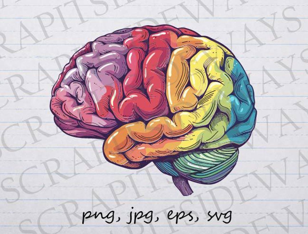 Rainbow Brain Clipart Vector Graphic Svg Png Jpg Eps, Colorful Brain ...