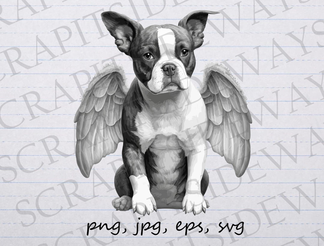 Angel Boston Terrier Clipart Vector Graphic Svg Png Jpg Eps Sticker ...