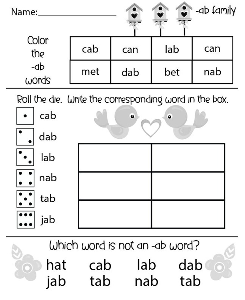 16 Page CVC Word Family Worksheets Printable Instant Download - Etsy