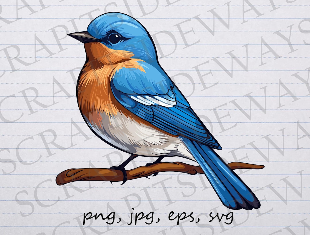 Bluebird Clipart Vector Graphic Svg Png Jpg Eps Bird, Bird Lover, Bird ...