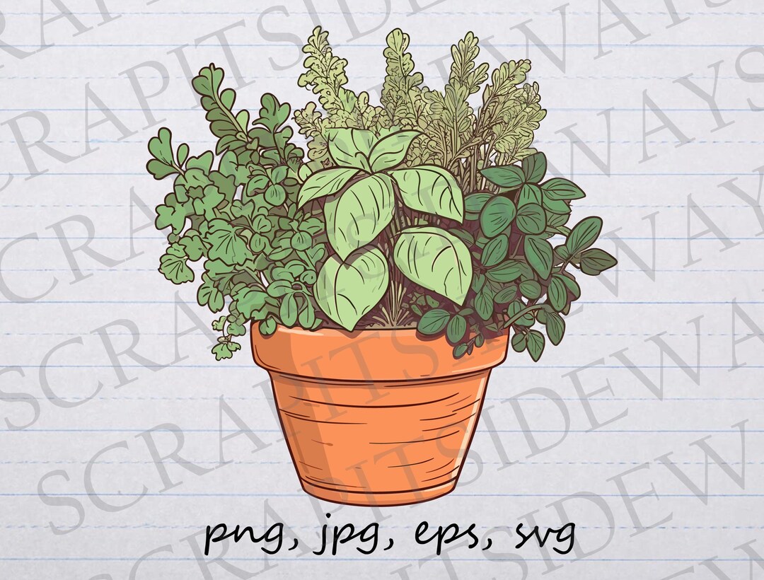 Herb Garden Clip Art Clipart Vector Graphic Svg Png Jpg Eps, Planter ...