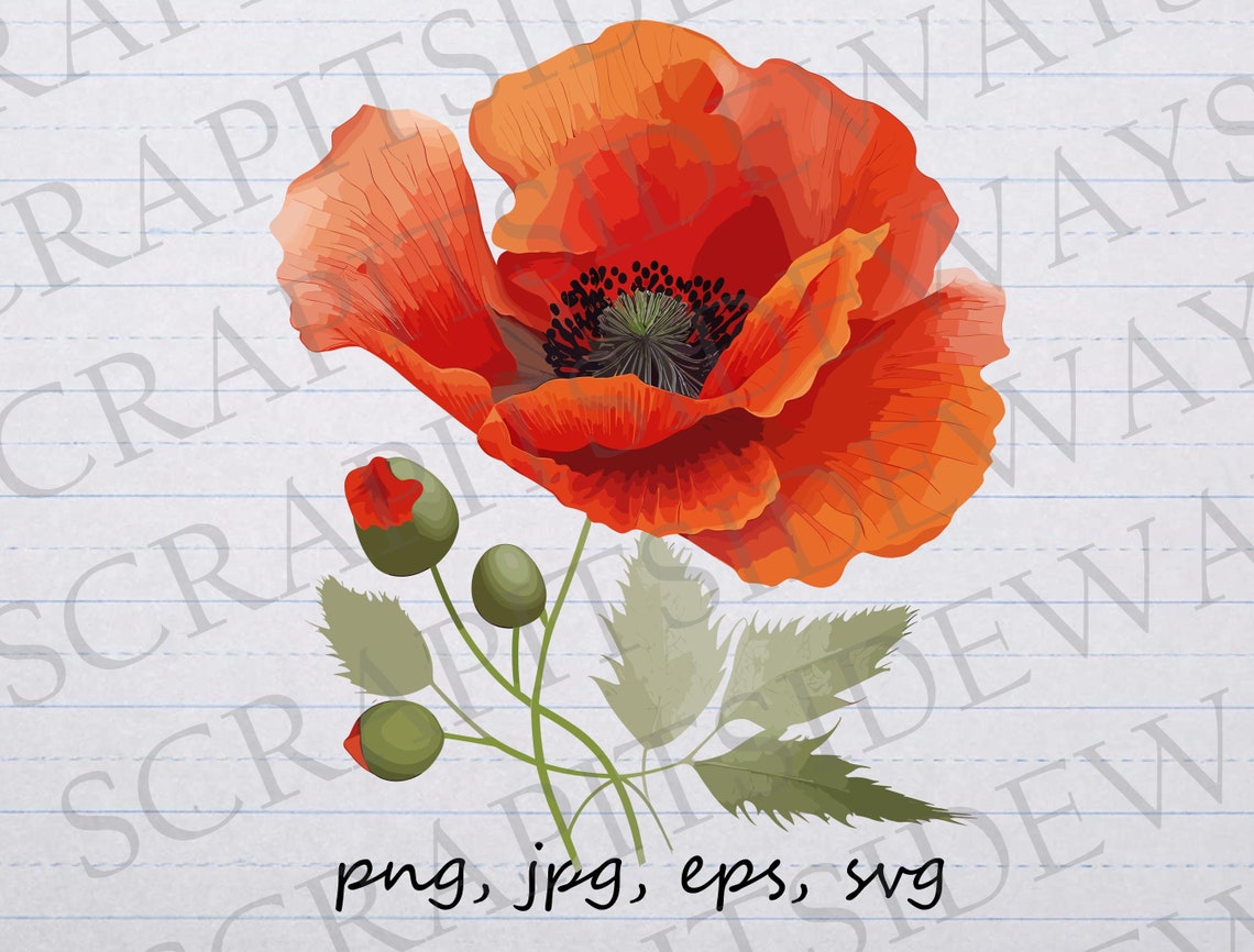 Red Poppy Clipart Vector Graphic Svg Png Jpg Eps Sticker Design T-shirt ...
