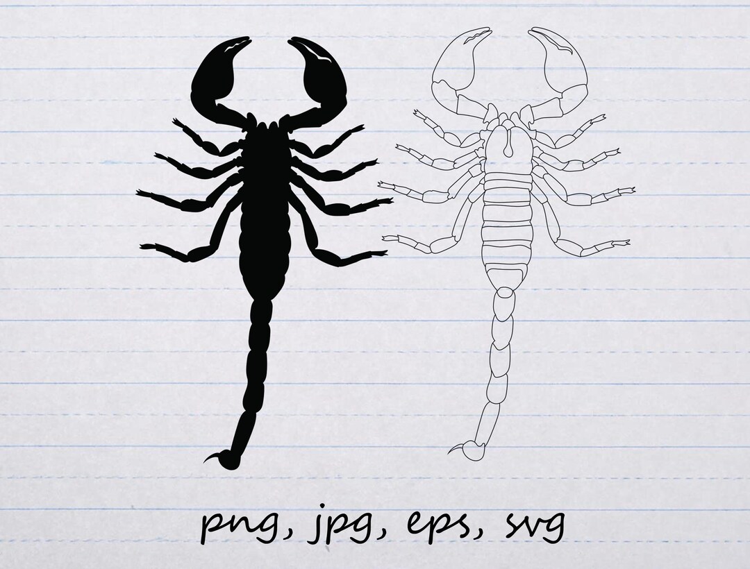 Scorpion Clipart Vector Graphic Svg Png Jpg Eps Bug Insect Creepy ...