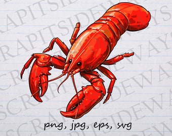 Crawfish SVG, Crayfish PNG, Crawdaddy Vector, Crawdad Sublimation, Crab ...