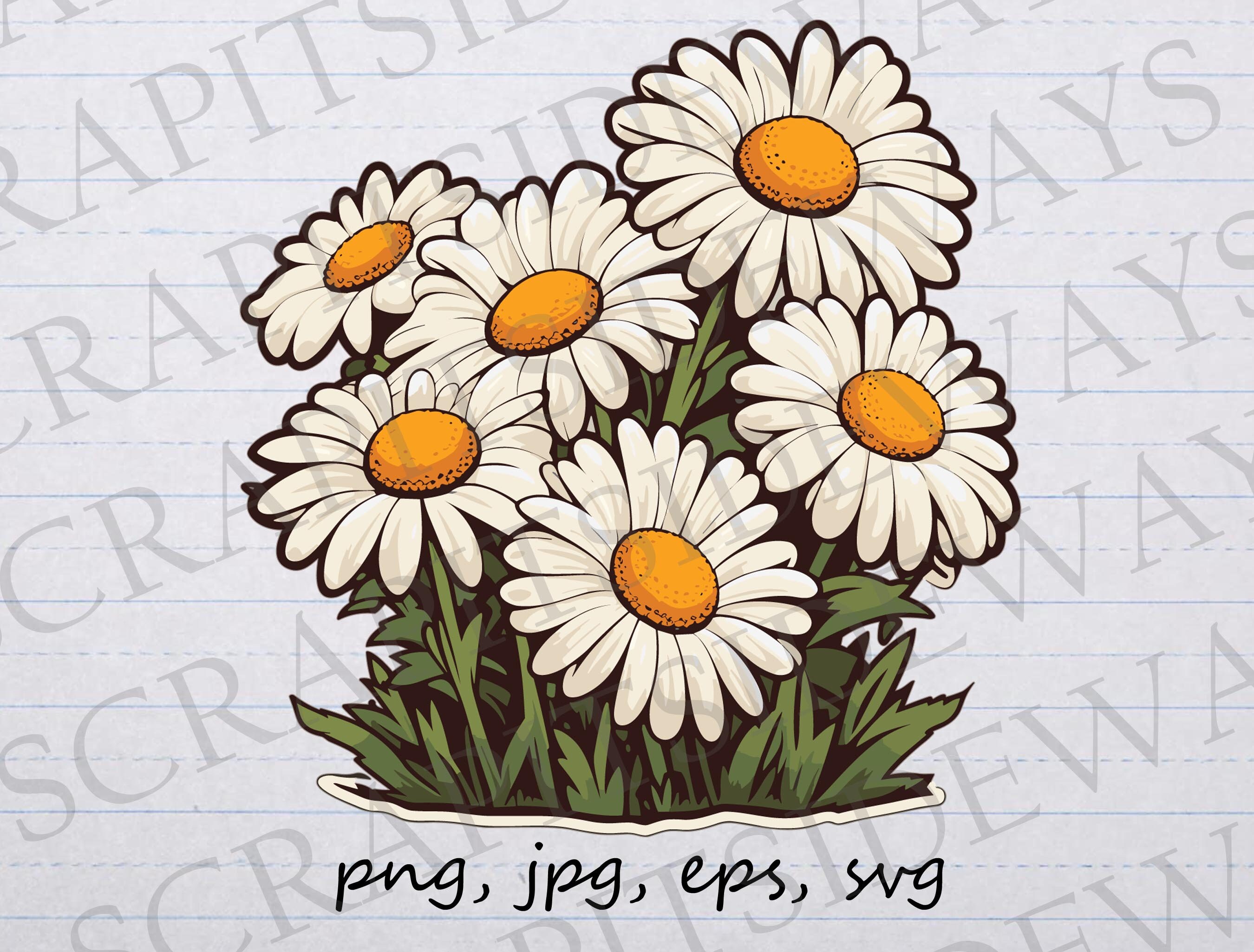 Daisies Clip Art Clipart Vector Graphic Svg Png Jpg Eps - Etsy