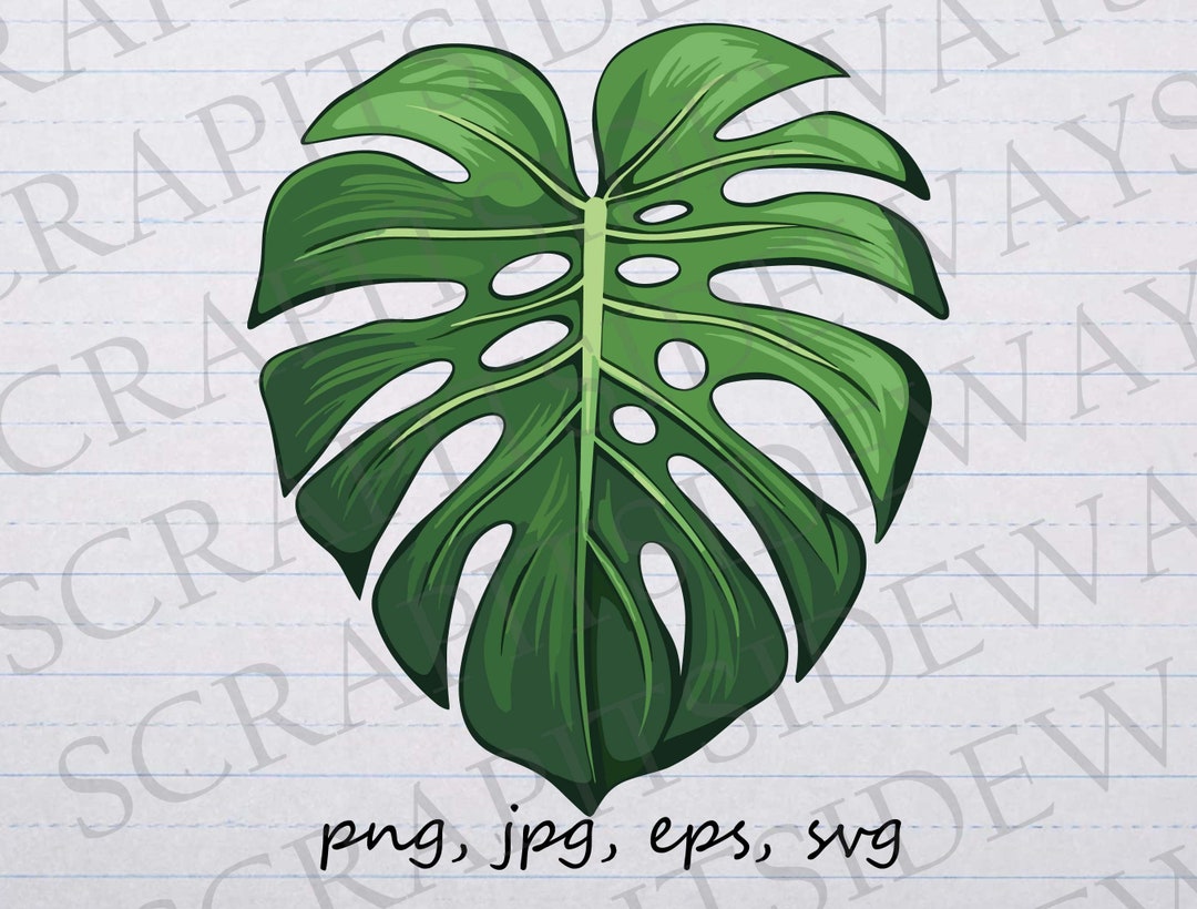 Monstera Leaf Clip Art Clipart Vector Graphic Svg Png Jpg Tropical Leaf ...