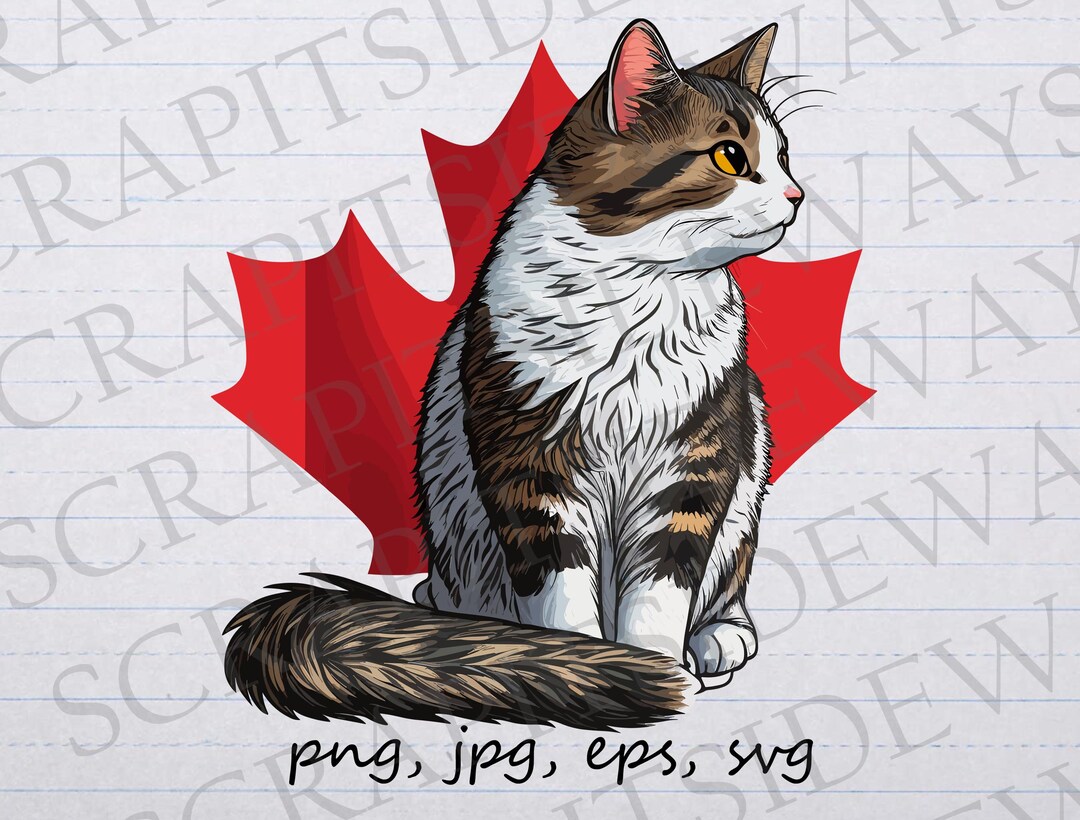 Canadian Cat Clipart Vector Graphic Svg Png Jpg Eps Cute Cat Canada ...