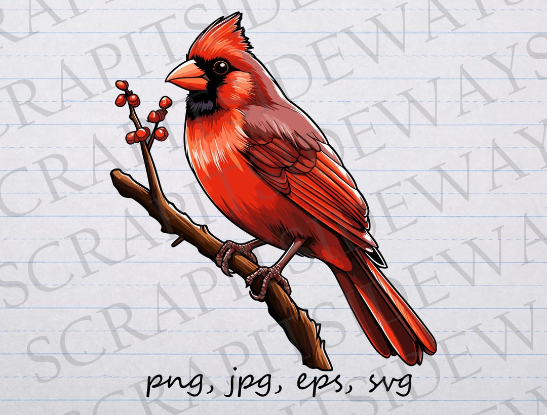 Cardinal Clipart Vector Graphic Svg Png Jpg Eps Bird, Bird Lover, Bird ...