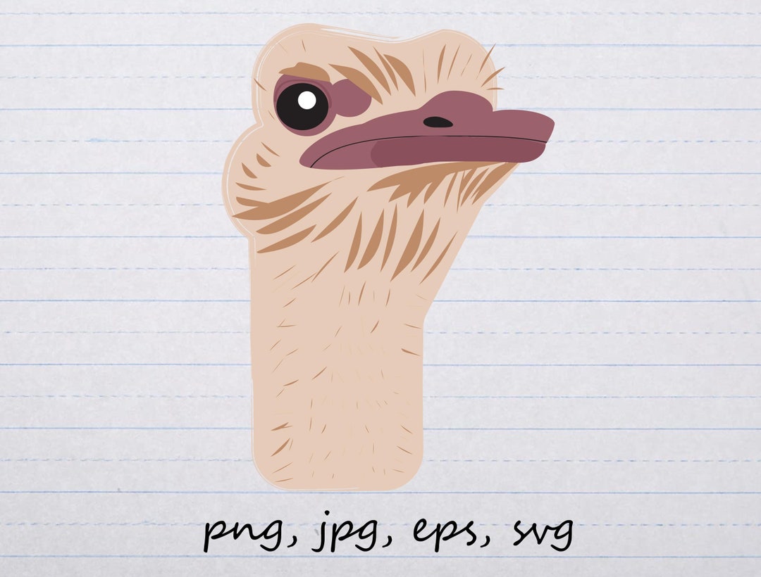 Angry Ostrich Clipart Vector Graphic Svg Png Jpg Eps African Animal ...