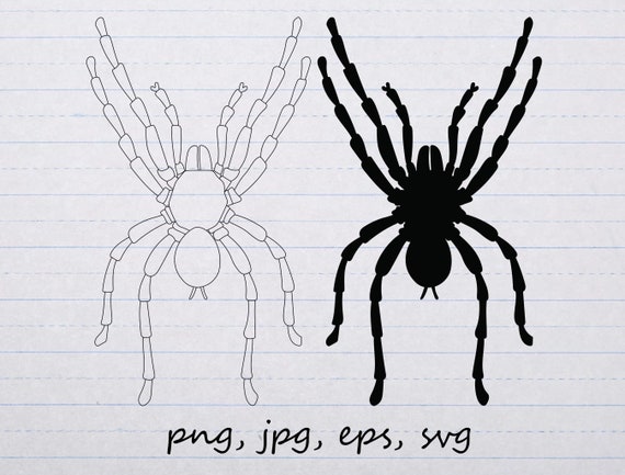 Tarantula Spider Clipart Vector Graphic Svg Png Jpg Eps Bug | Etsy