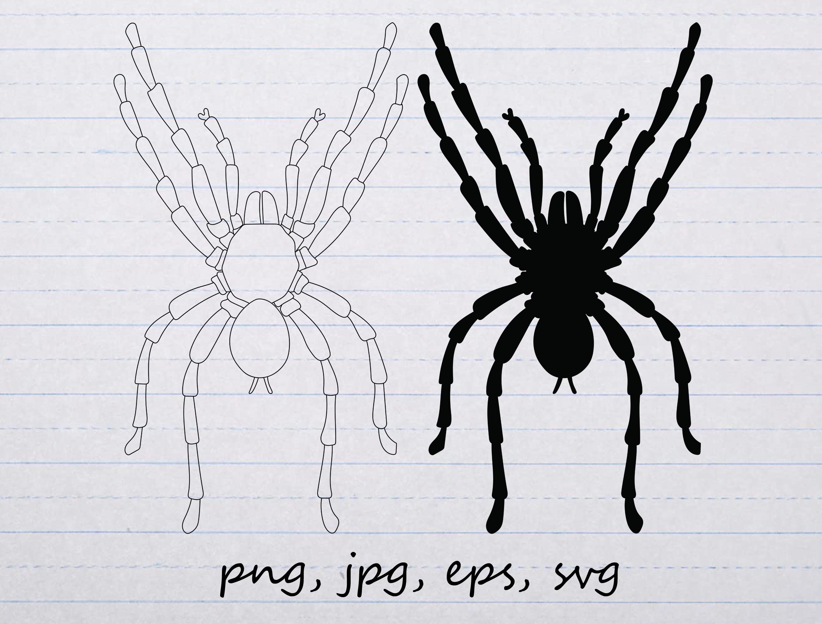 Tarantula Spider Clipart Vector Graphic Svg Png Jpg Eps Bug | Etsy