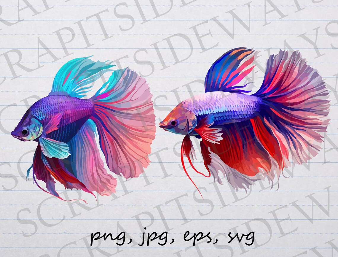 Betta Fish Clipart Vector Graphics Svg Png Jpg Eps Aquarium Aquatic ...