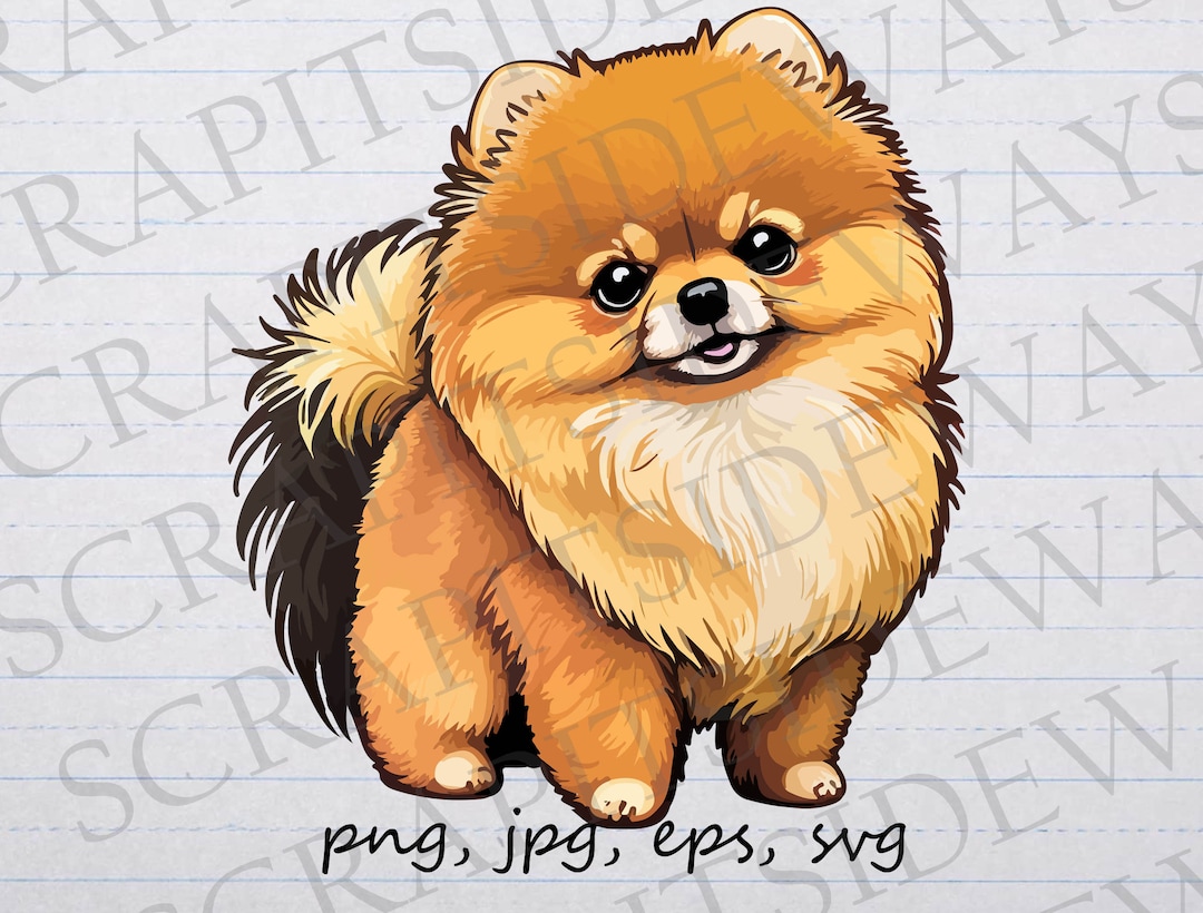 Cute Pomeranian Clipart Vector Graphic Svg Png Jpg Eps Pom Dog Puppy - Etsy