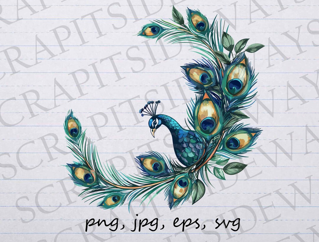Peacock Feather Border Clip Art Clipart Vector Graphic Svg Png Jpg Eps ...